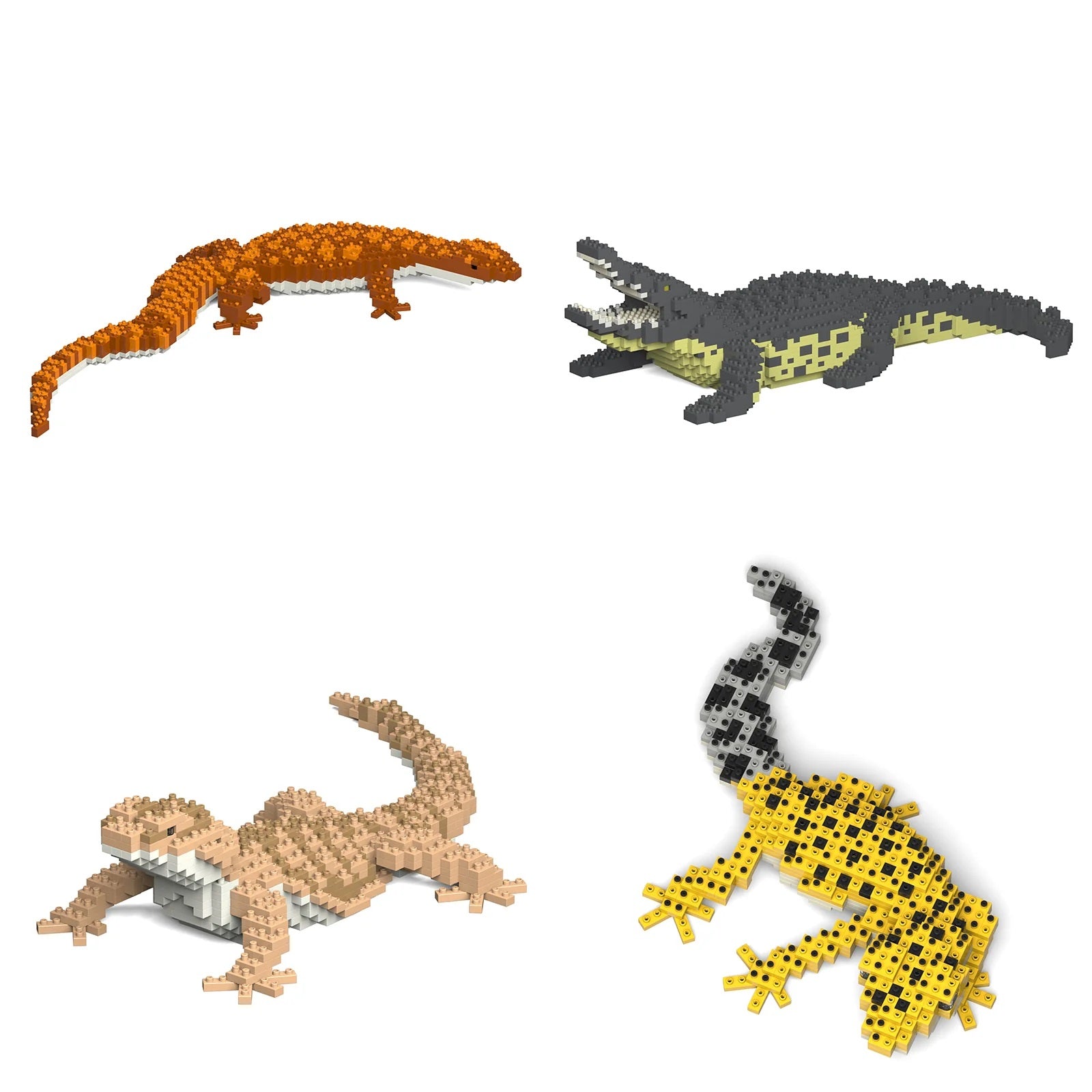 Reptilien – JEKCA EU